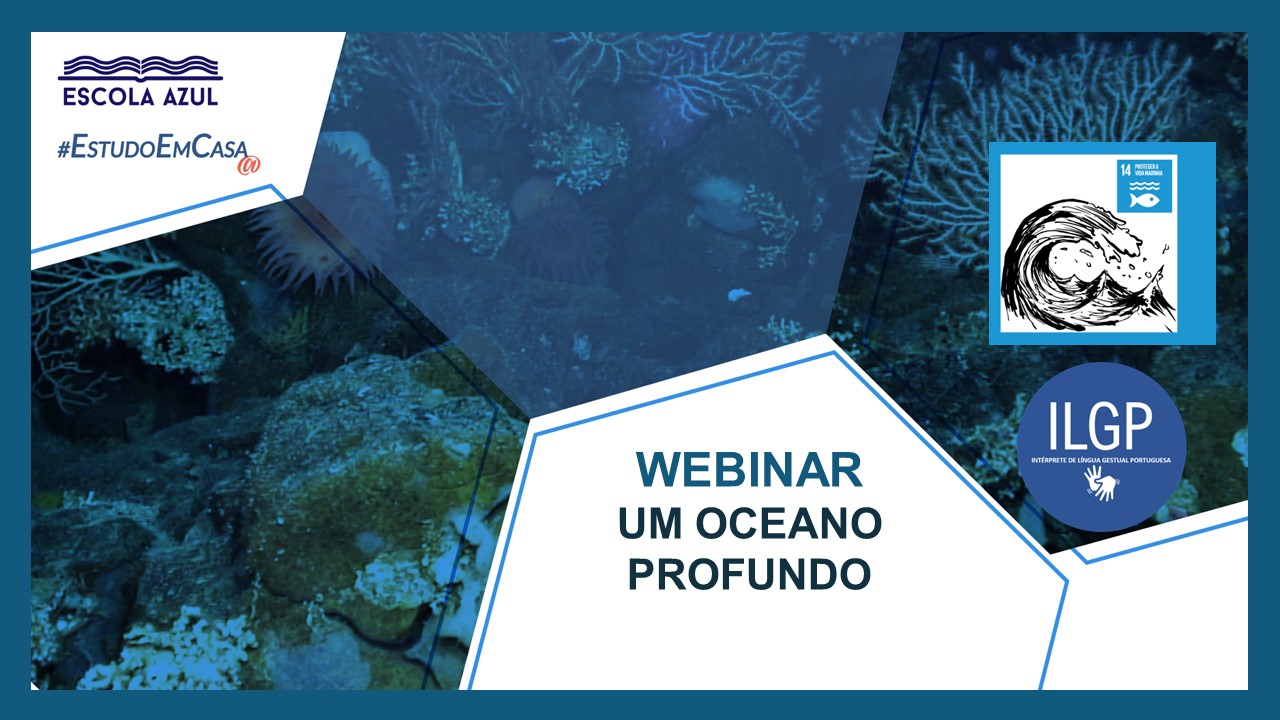 Projeto | Em Defesa do Oceano | #EstudoemCasa@